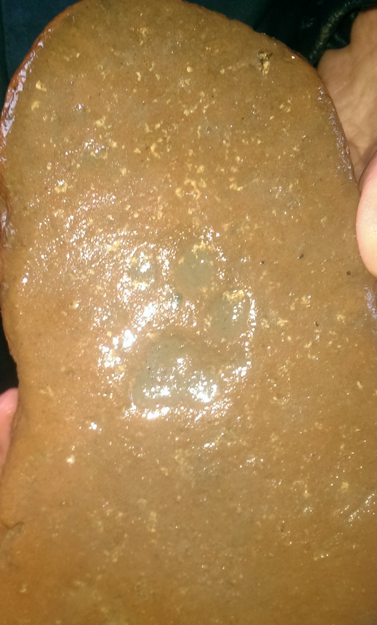 A River Thames ceramic timeline – Jill Rutter